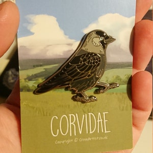 How to draw birds: Of the passerine order | Etsy