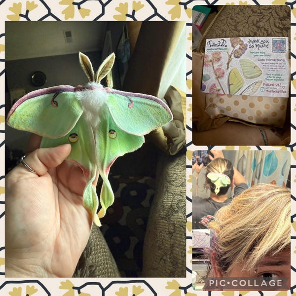 Flower Mantis Hair Claw Clips Spiny Flower or Umbrella Mantis! - Etsy