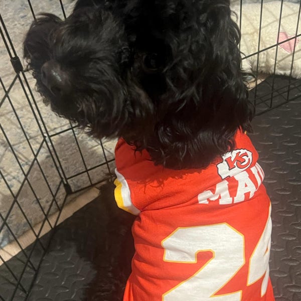 Liverpool FC -inspired Personalised Pet Tank Top With Original FC Logo ...