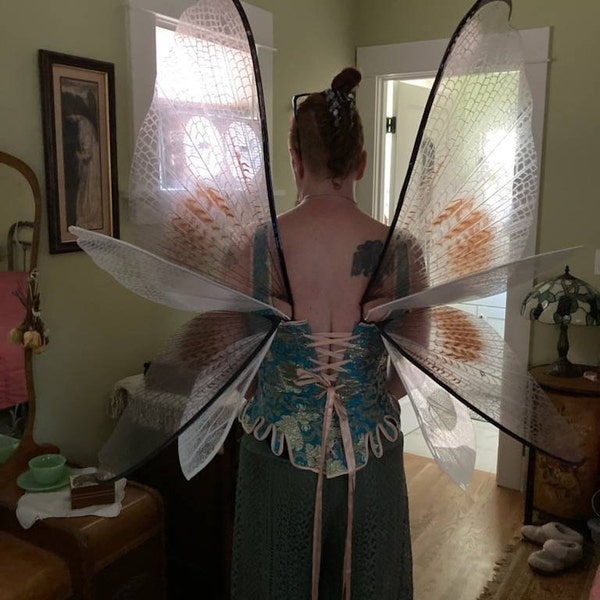 Transparent Fairy Wings: Butterfly Moth Elf Halloween Costume Wings - Etsy