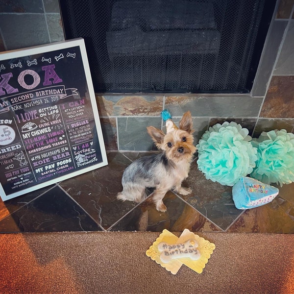Dog Birthday Chalkboard Sign, First Puppy Birthday Banner, 1st Dog ...