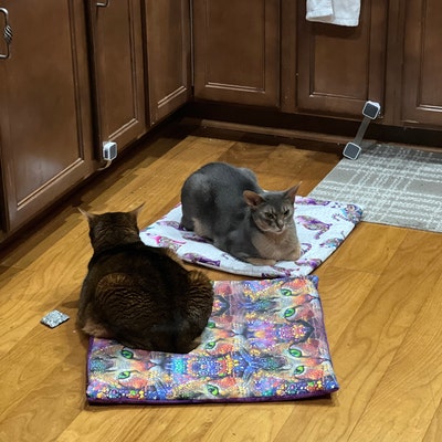 Siamese Catnip Toy, Tuxedo Cat Catnip Toy, Panther Catnip, Butterscotch Catnip Toy, Jungle Cats ...