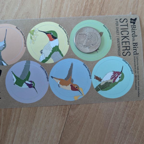 Bird Magnet Gift Set | Choose From 17 Themes | Nature Audubon Birder ...