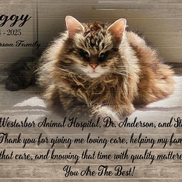 Personalised Custom Travel Poster, Departure Board, Airport Travel ...