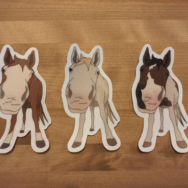 Customizable Peeking Horse Decal Personal Sticker Gift for Equestrian ...