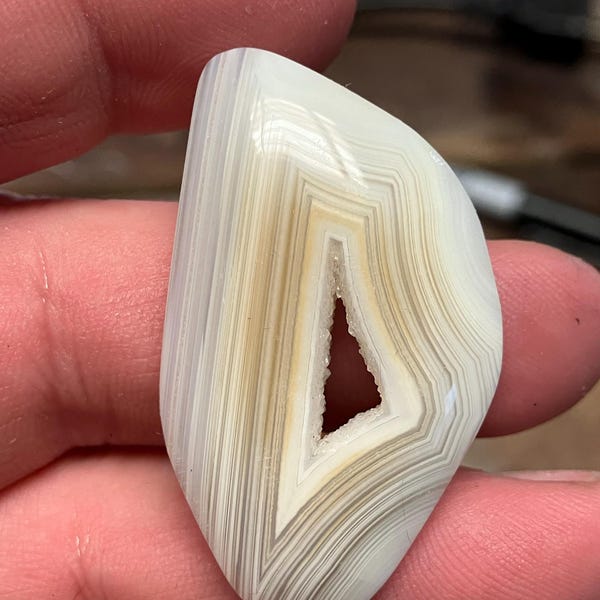 AAA White Scallop Shells With Hole: Jewelry Making, Beach Decor - Etsy