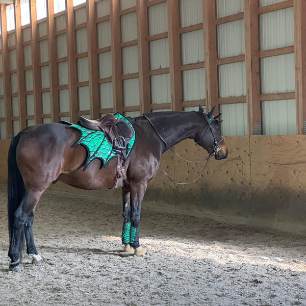 Red Gladiator Style Tack Set - Etsy