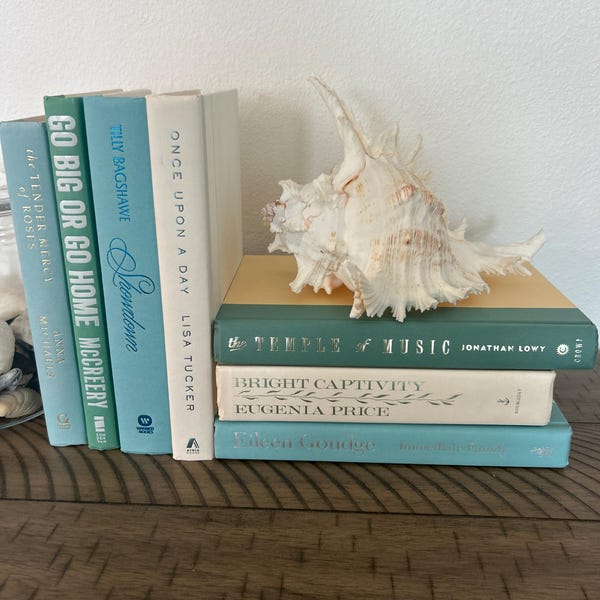 Book Stack of Coastal Blue Beach House Decorative Books - Hardcover ...