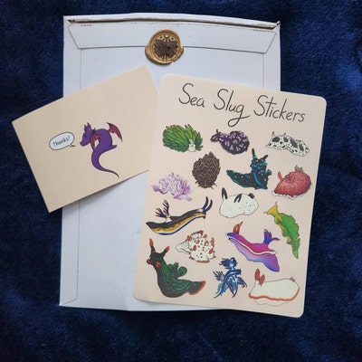 Sea Slug Sticker Sheet - Etsy