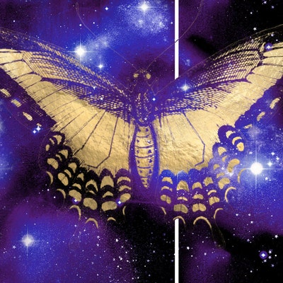 Painted Butterflies Clipart, Gold Foil Butterfly Clipart, Butterfly ...