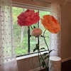 Large Paper Flower, Giant Flower, Giant Red Rose, Wife Red Rose ...