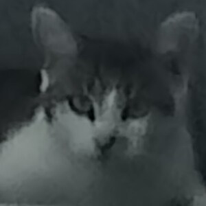 Handmade 3D Pop up Card Frog Birthday Anniversary Father's - Etsy