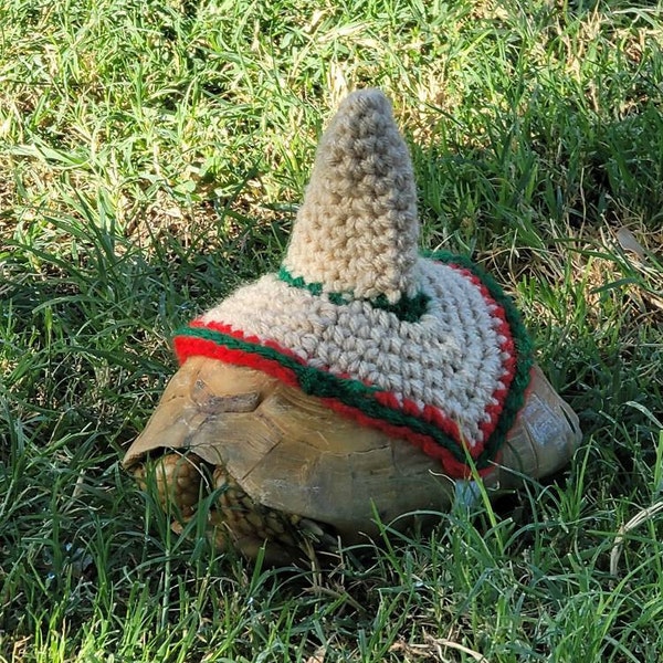 Mariachi Sombrero Turtle/tortoise Costume - Etsy