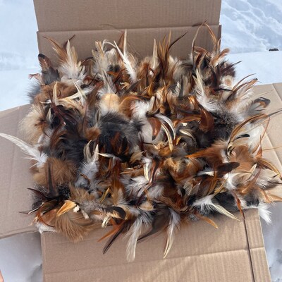80 Pcs Assorted Feathers Natural Feathers Real Bird Feathers Feathers ...