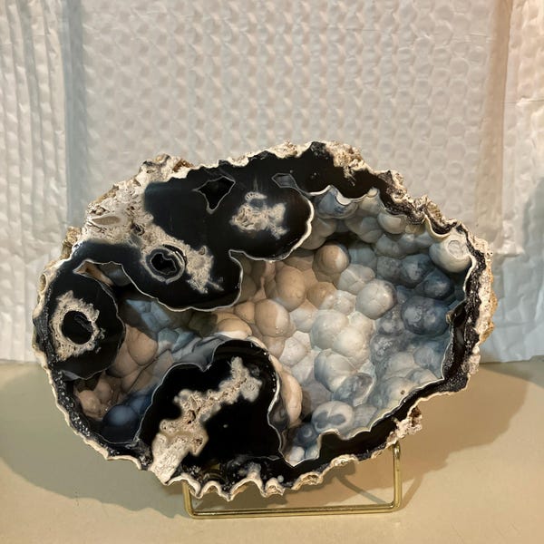 Fossil Agatized Coral Rare Color Geode Cut & Polished - Etsy