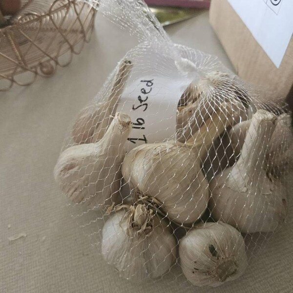 Sweet Fire Relish 16 Ounce Jar BJ Gourmet Garlic Farm - Etsy