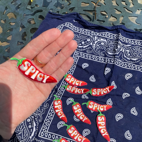 Spicy Pepper Patch - Embroidered Patches for Jackets - Wildflower + Co ...