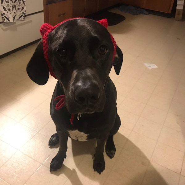 Devil Dog Costume, Devil Horns for Large Breed Dogs, Red Devil Dog Hat ...