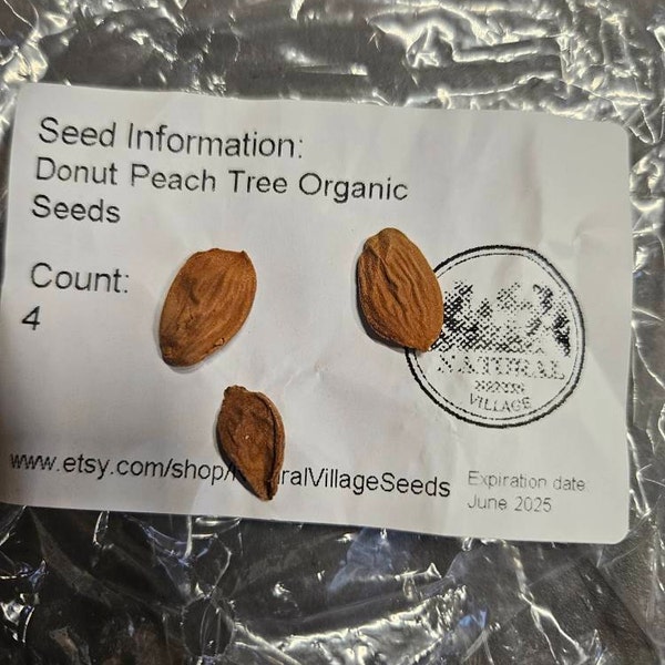 Yellow Dragon Fruit Organic Seeds, 20+ Count, Yellow Dragon Fruit Tree ...