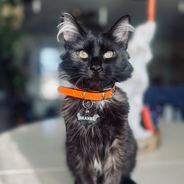 Personalized LED Light up Name Keychain USA Made Color Changing ...