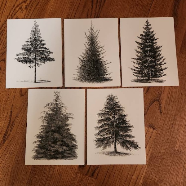Tree Note Card Set of 10 in White or Light Ivory With Matching ...