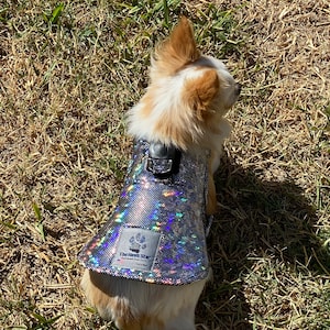 The Hawk Star Pet Protection Vest - Etsy