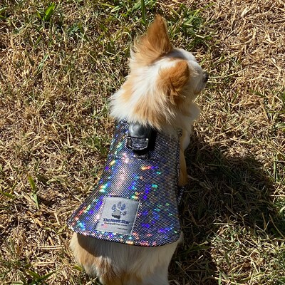 The Hawk Star Pet Protection Vest - Etsy