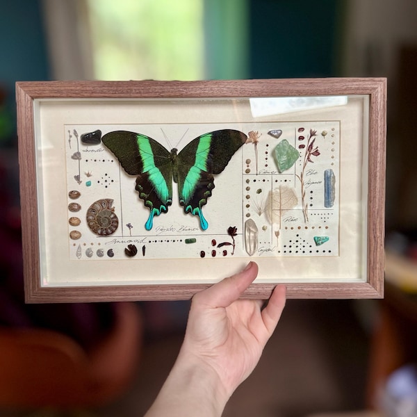 Steampunk-inspired Beetle Art: Beetle & Botanical Specimen Art, Beetle ...