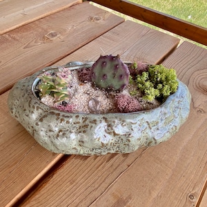 Premium Large Shallow Succulent Planter Pot, Ceramic With Decorative ...