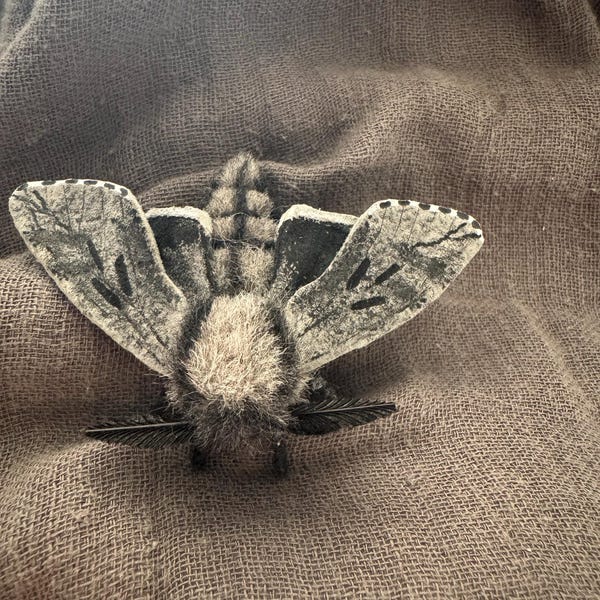 Hercules Moth , Needle Felted, Moth Figurine, Decoration, Handmade ...