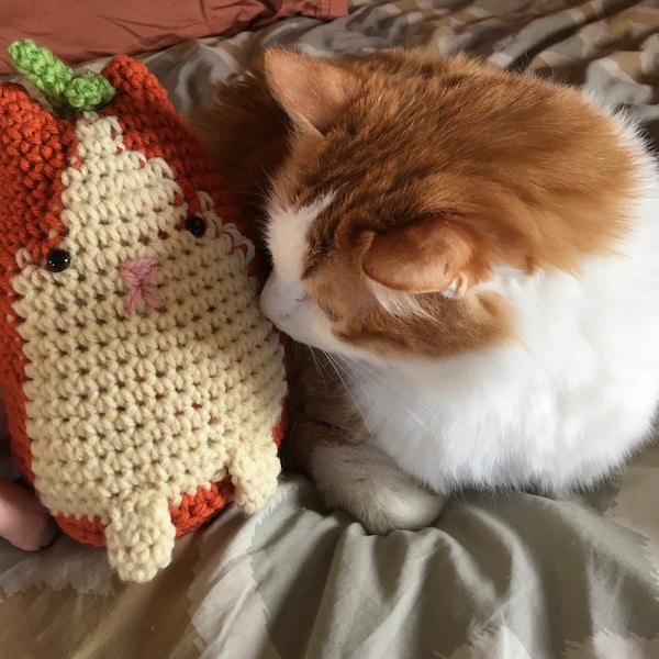 Cute Custom Fruit Cat - Etsy