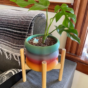 Indoor Matte Mustard Planter With Unique Swirl Design 4 Inch - Etsy