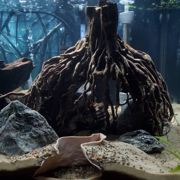 Aquarium Driftwood Centerpiece Aquascape Hardscape Arch Fish Tank ...