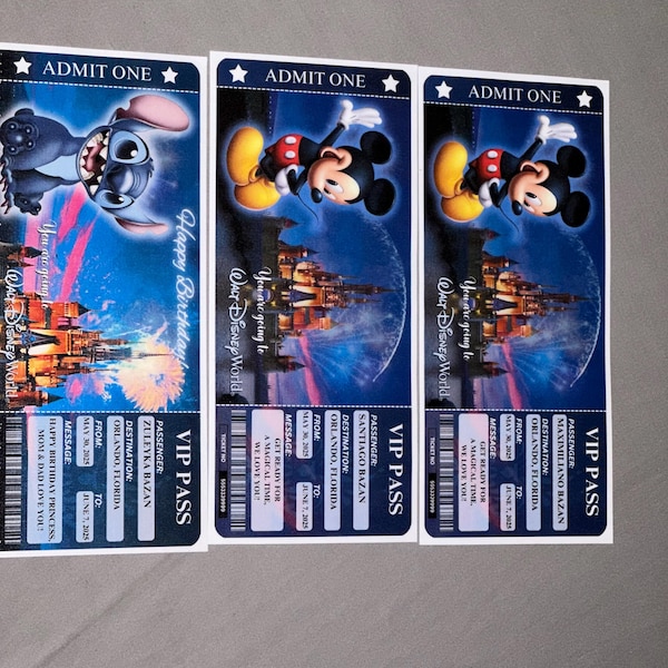 Personalized Christmas Disneyworld Ticket Theme Park Surprise Reveal ...