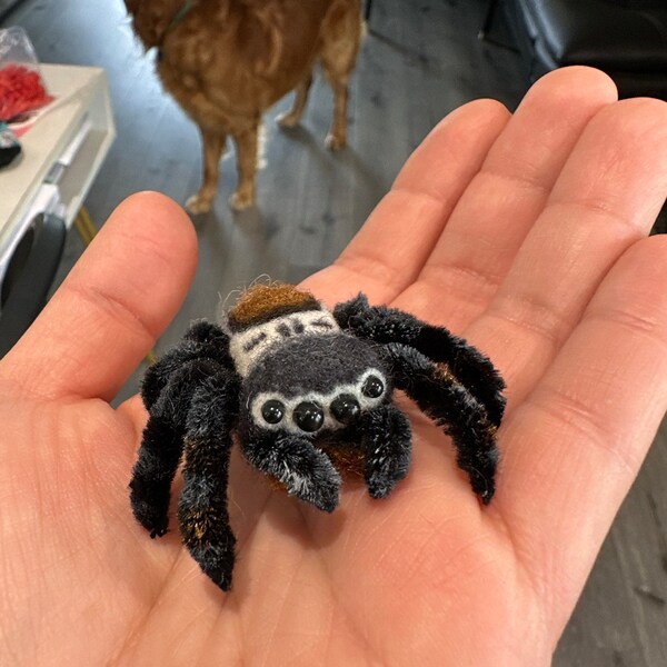 Cute Jumping Spider Toy, Creepy Gift, Poseable Sculpture, Needle Felted ...