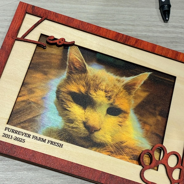 Cat Memorial Picture Frame, Pet Loss Gift for Cat Owner, Personalized ...