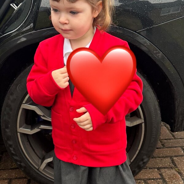 School Hair Set - Red - Hair Clips. Back to School, Gingham , Hair Set ...