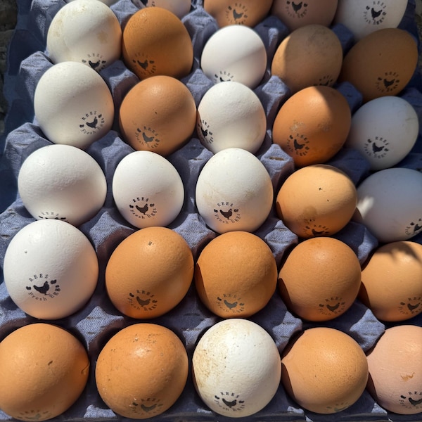 CUSTOM Egg Stamp With Initials - Mini Stamper for Eggs - Farm Stand ...