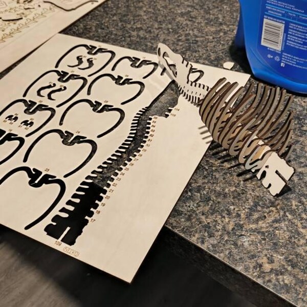 Triceratops Skeleton .dxf Digital File Template for Laser Cutting. - Etsy