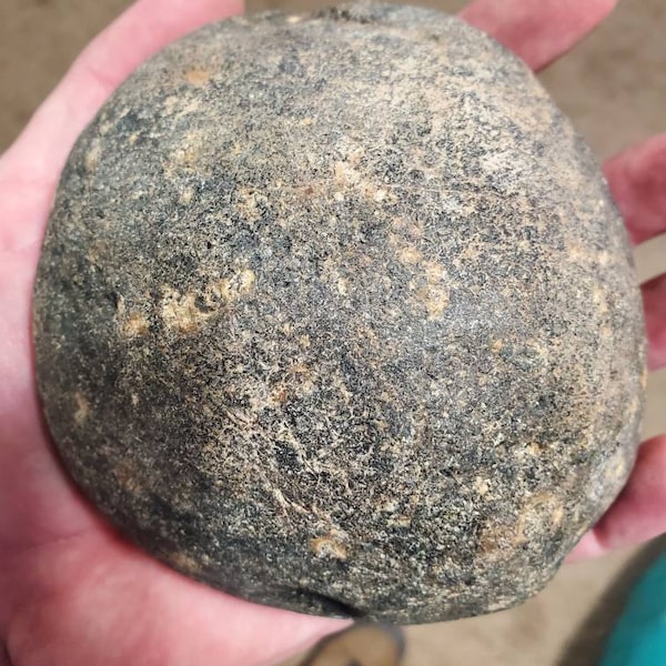 Dino Bone Double Heel Polished Specimen - Etsy