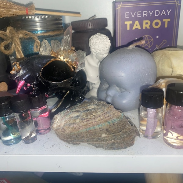 Mystery Oddity WET SPECIMEN Surprise Box - Animal Kingdom - Etsy