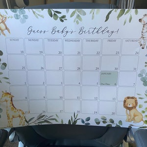Peter Pan Guess the Baby's Birthday Calendar / Peter Pan - Etsy