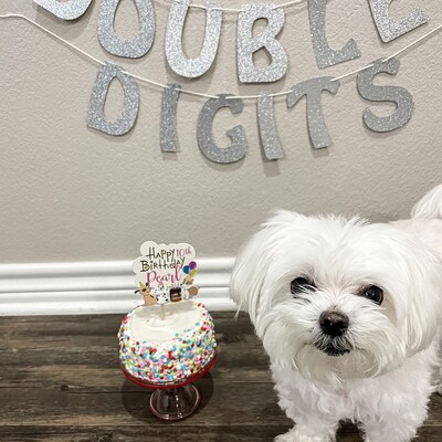 Double Digits Banner, Glitter Double Digits Sign, 10th Birthday Banner ...