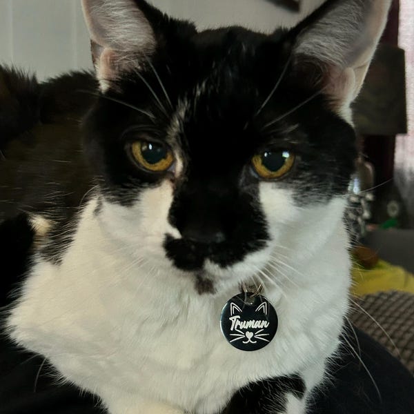 Personalized Cat Tag, Custom Cat Tag, Cat ID Tag, Pet ID Tag, Cat ...