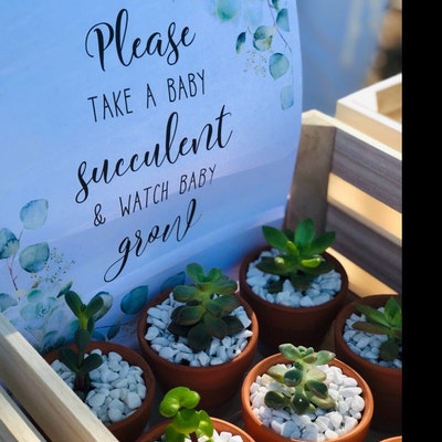 Watch Baby Grow Sign, Succulent Baby Shower, Succulent Favor Sign ...