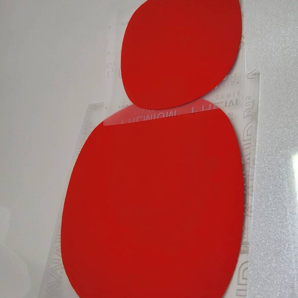 2023 INTEGRA REFLECTOR TINT - Etsy