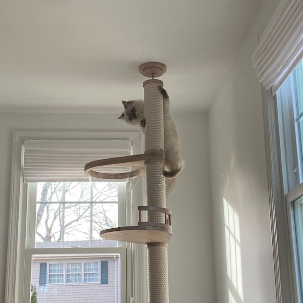 Cat Adjustable Tower Floor to Ceiling Cat Tower Wood Cat Tree Cat ...