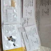 Vietnam Broccoli Seeds Cải Rổ Jie Lan Gai Lan Rapini Rabe Kale Stem ...