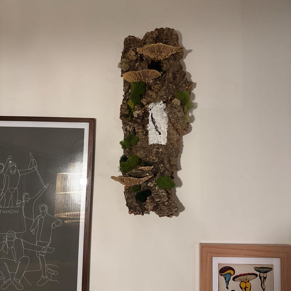 Floating Forest Trio Moss Wall Art, Wall Decor, 3 Cork Bark W ...