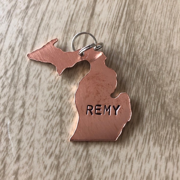 State of Minnesota (or Select Your State) Pet Name Tag Medium 1" Max ...